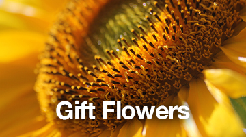 Flower Designs Worthing | Worthing Florist | Goring-by-Sea, Worthing ...